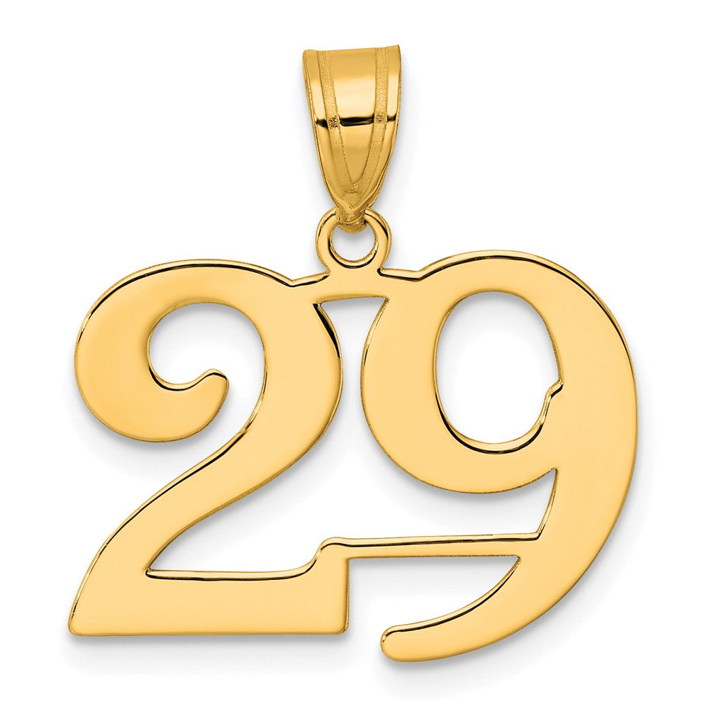 14k Polished Number 29 Pendant - Model APN29 | Charlie & Co. Jewelry